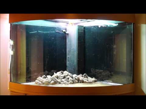 Corner Fish Tank - Wholesale Price & Mandi Rate for Corner Aquarium in ...