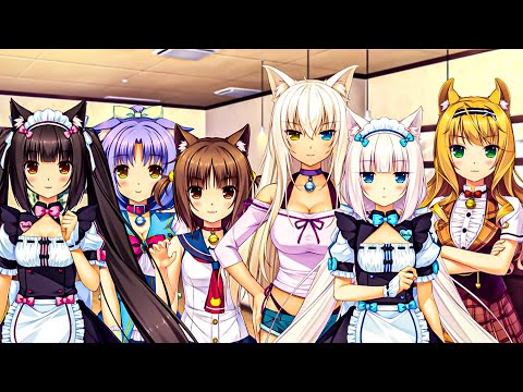 Cute Cat Girls Work As Cafe Maids For Their Master