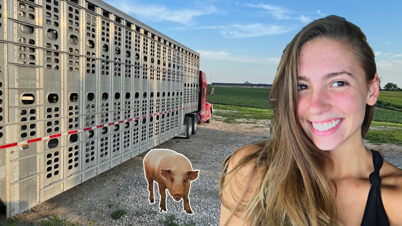 Farm Girl's First Time Loading Pigs