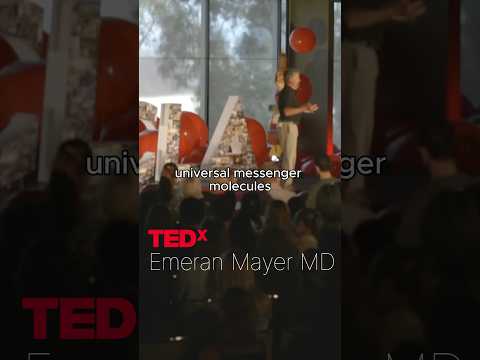 Serotonin and The Gut @TEDx @UCLA #shorts #serotonin #guthealth #gutbrainaxis