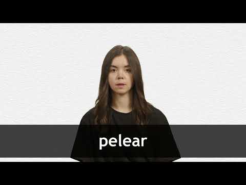 English Translation of “PELEAR” | Collins Spanish-English Dictionary