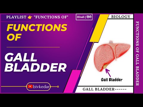 Functions of Gall Bladder [ Hindi ] | What is Function of Gall Bladder in Hindi #biology #bivkedar