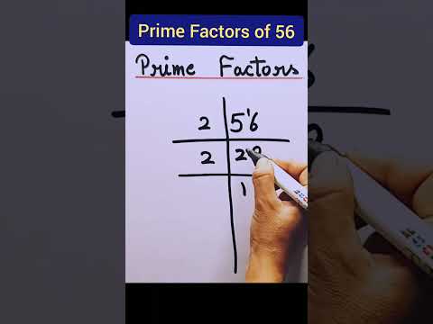 prime factors of 56 #shorts #maths