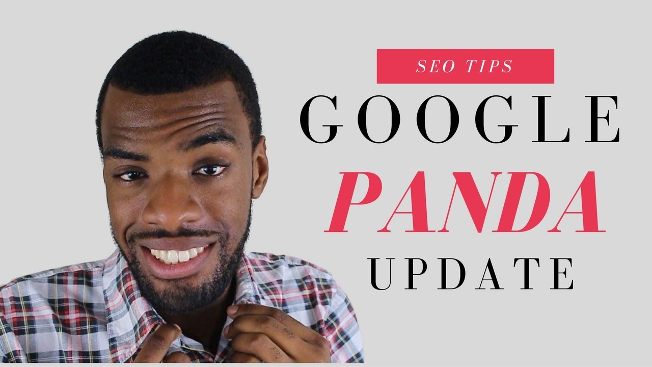 Google Panda Update | Google Search Algorithm