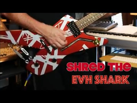Evh Striped Series Shark iMuso