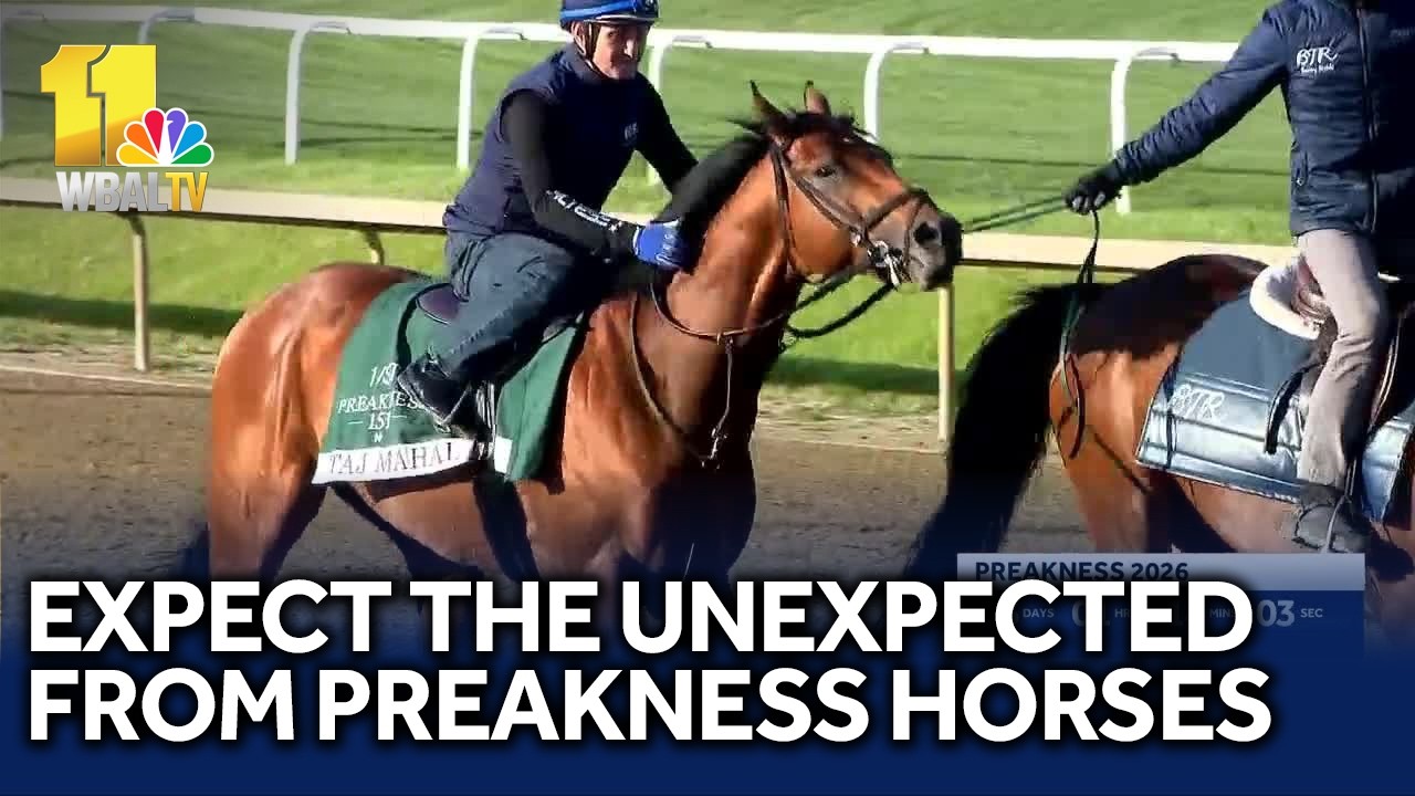 Expect the unexpected from full field of Preakness horses