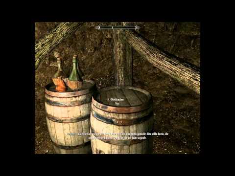 Let’s Play The Elder Scrolls V Skyrim #65 – Madanach war einmal | Zone