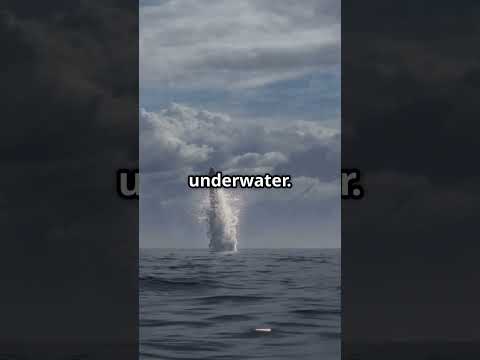 How Submarines Launch Torpedoes ?