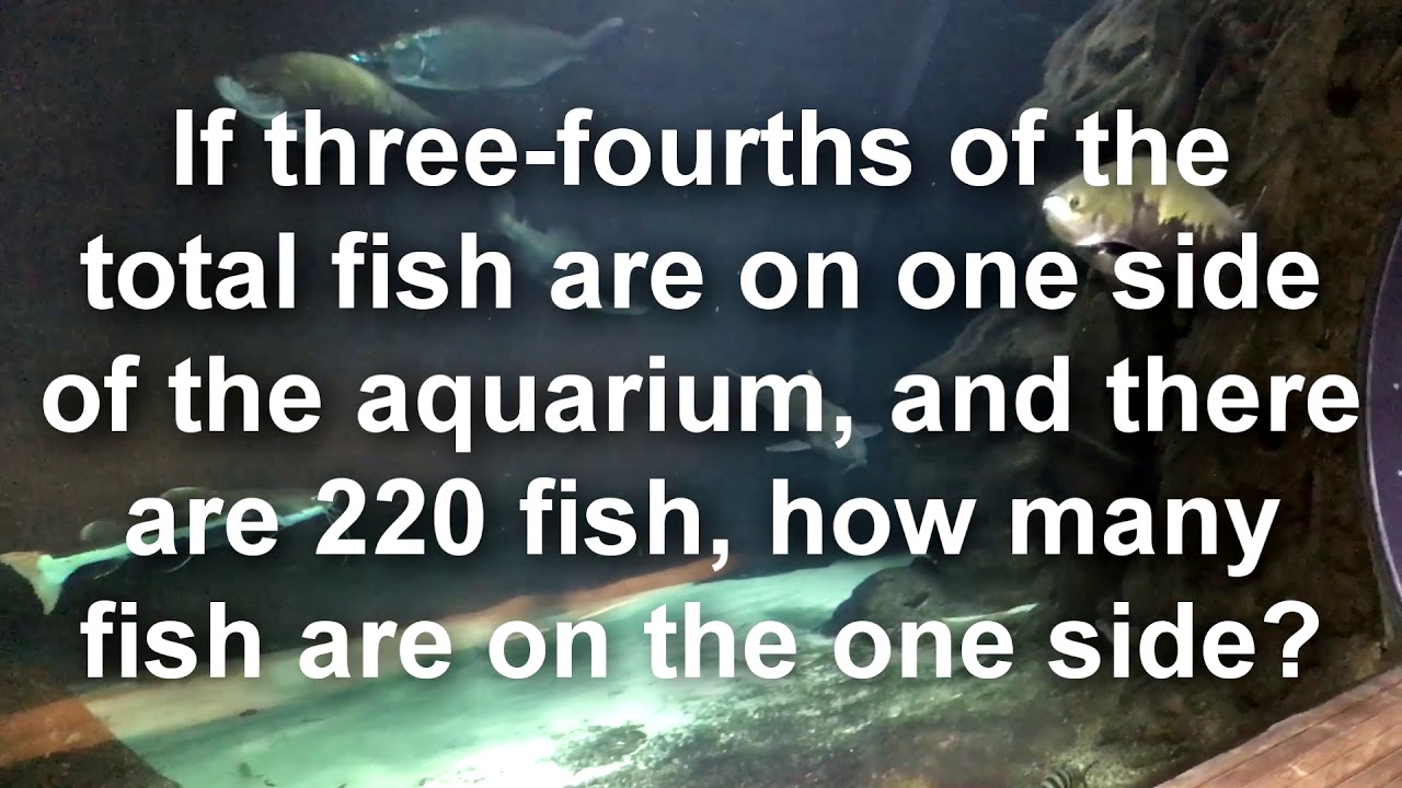 aquarium math
