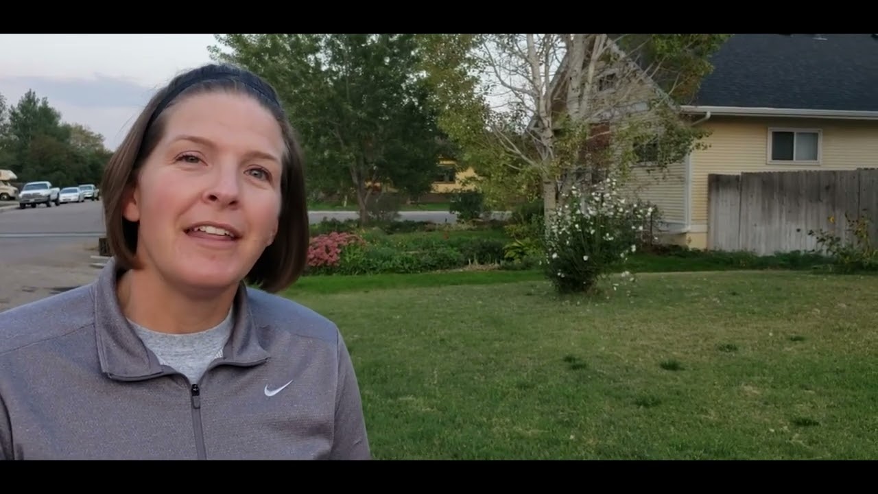 Plant Talk: Buffalograss in Late Summer