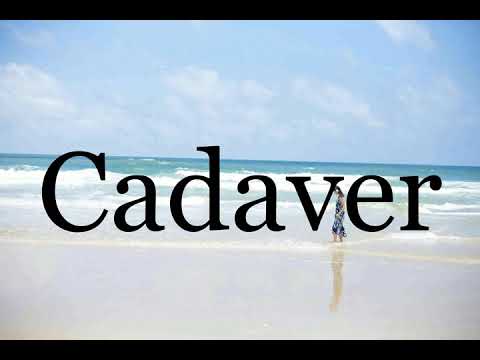 How To Pronounce Cadaver🌈🌈🌈🌈🌈🌈Pronunciation Of Cadaver