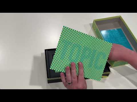 Watch This BEFORE You Buy The Chameleon Game!