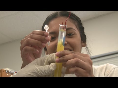 Del Valle students learn to analyze DNA
