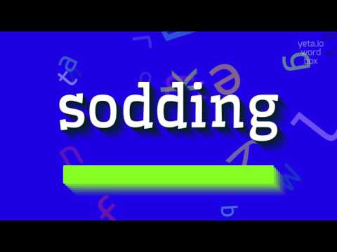 SODDING - How to say Sodding?