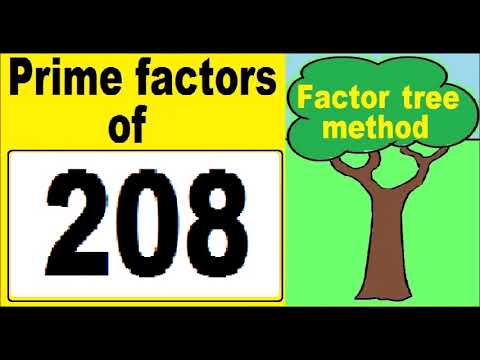 Prime factors of 208. Prime factors decomposition of 208. Factor tree method.