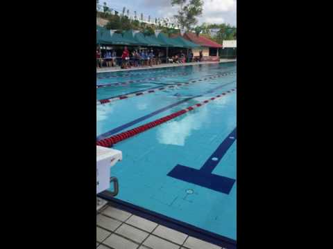 Torpedoes swim meet 2016