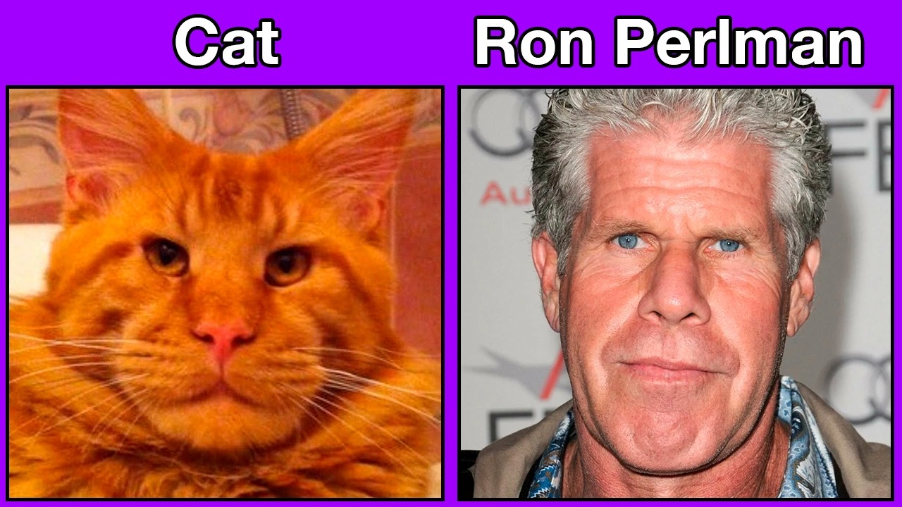 Animals That Are Perfect Celebrity Lookalikes