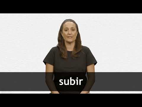 English Translation of “SUBIR” | Collins French-English Dictionary