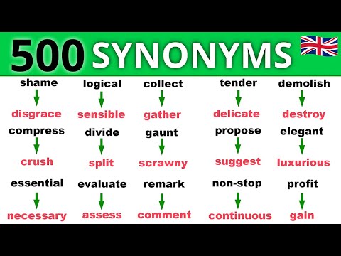 Learn 500 Common Synonyms in English and Boost Your Vocabulary Skills!