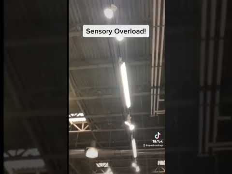 Simulation of a sensory overstimulation experience for Autistic individuals.
