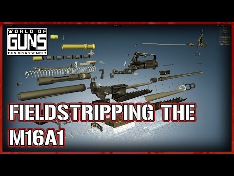 Steam Community :: Video :: World Of Guns: Fieldstripping the M16A1