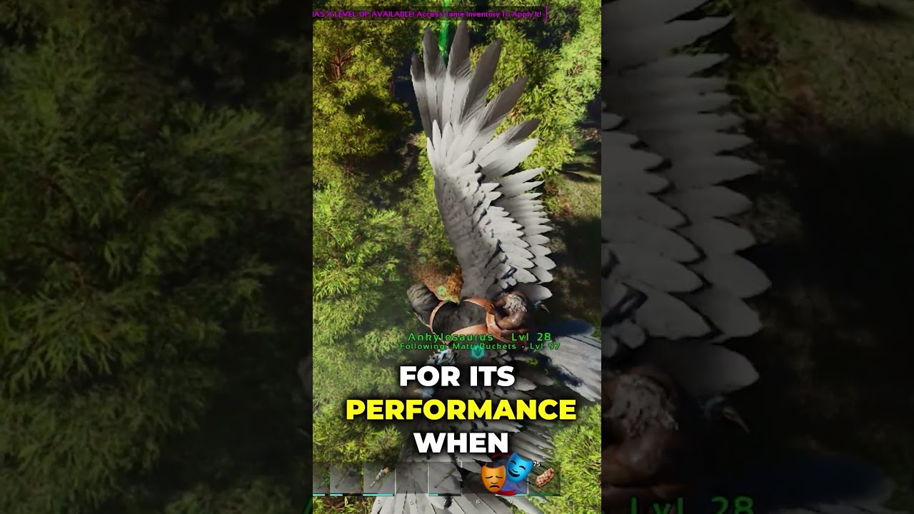 ASE vs. ASA: Which is ACTUALLY Better?