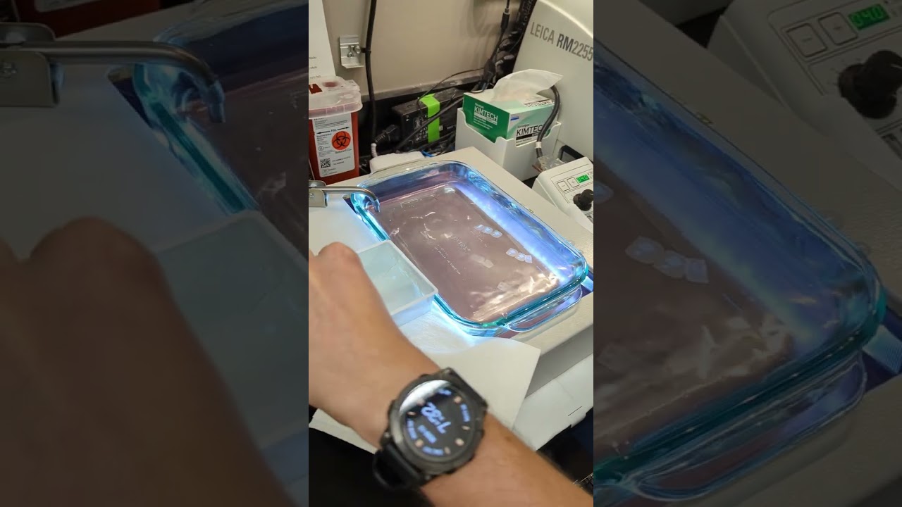 Cutting IHC Control Slides