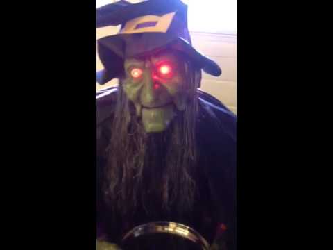 Gemmy Halloween Animated Witch & Skeleton with Candy Dish P