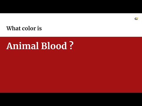 Animal Blood color #a41313 hex color - Red color - Cool color a41313