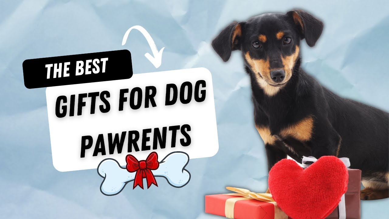 Best Gifts for Dog Moms - FurryRoyal Pet Portrait, Embark DNA, Enrichment Box + More!