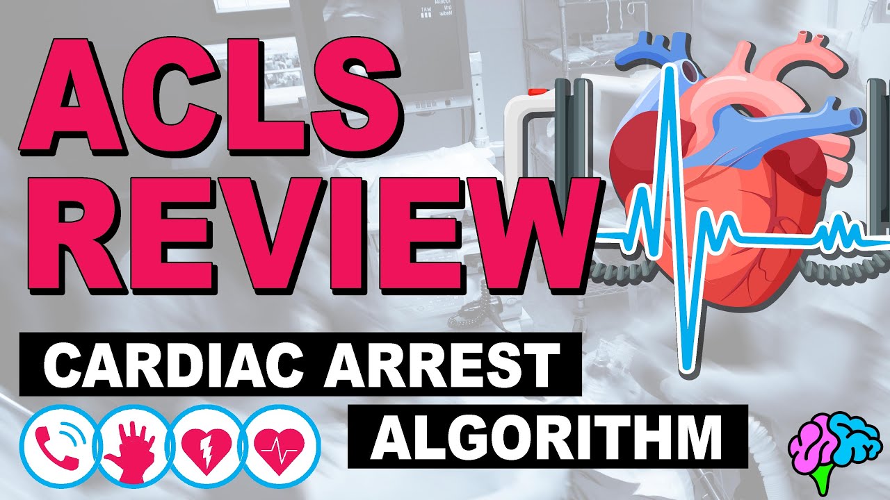 Understanding the Cardiac Arrest Algorithm: A Comprehensive ACLS Review ...