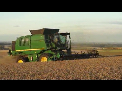 Cereal Food Provenance Story Intro