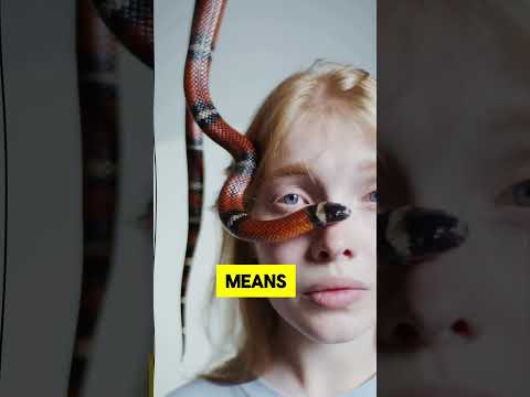 Meaning of Snake in a Dream