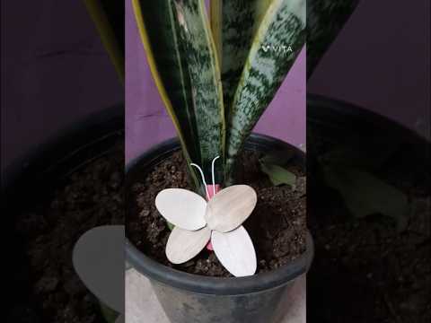 butterfly 🦋 made from wooden spoons || @nikitapatel1510 || wooden spoons craft butterfly 🦋 ||