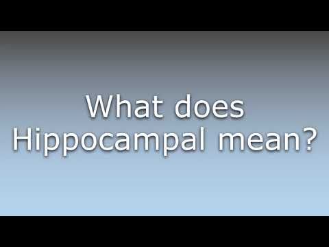 What does Hippocampal mean?