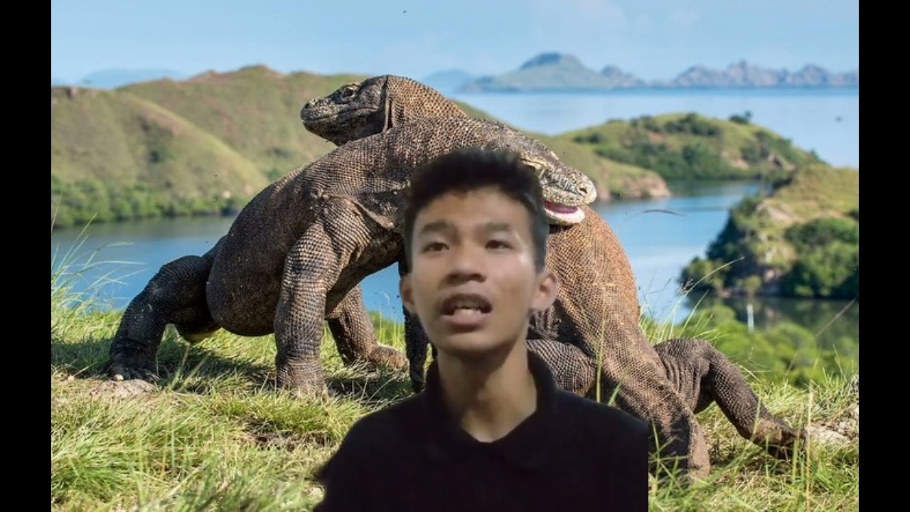 Ujian Praktik Bahasa Inggris 