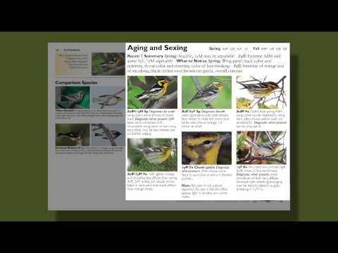 The Warbler Guide - Features of the Species Accounts
