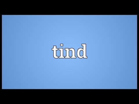 Tind Meaning