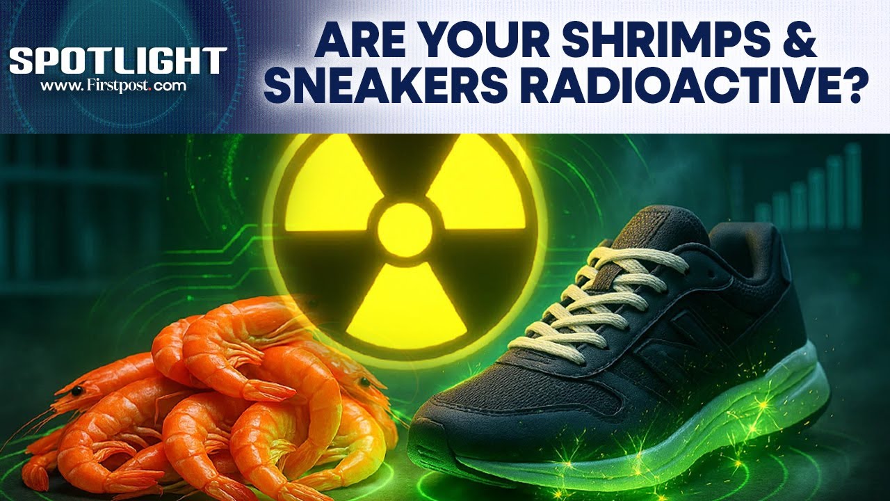 Indonesia Open Criminal Probe Into Radioactive Shrimps and Sneakers | Spotlight | N18G