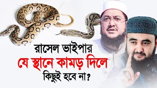 Bangladesh Youtube Trends - Today's youtube trending videos in Bangladesh