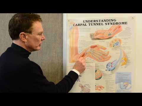 EMG and Nerve Conduction Velocity