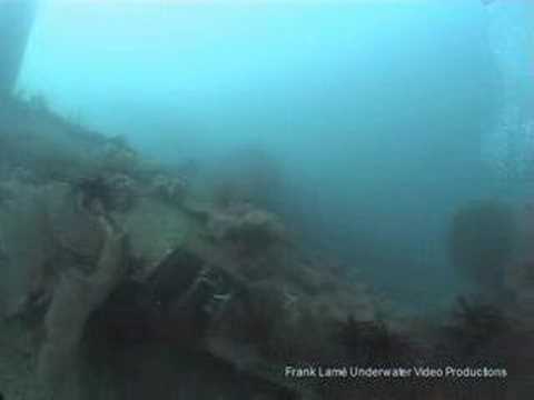 The fate of a WW2 Mitchell B-25 Bomber and its crew