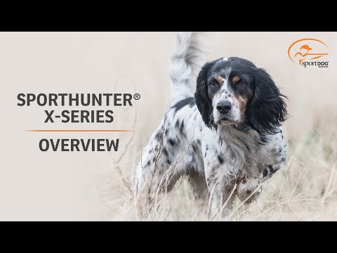 Dog Training Collars for Hunting Dogs, Gun Dogs, Sporting Dogs - SportDOG