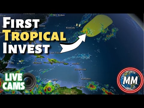 Where That Is Going | Now With LIVE Cameras