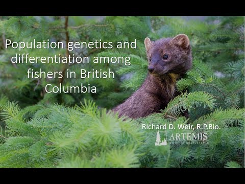 Population Genetics of Fishers in British Columbia