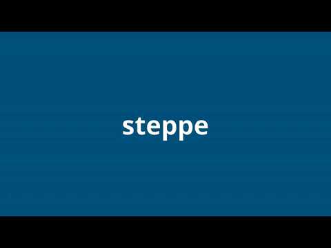 what is the meaning of steppe.