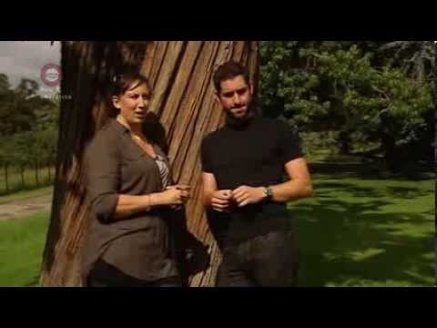 Sitcom Does Romance - Miranda Hart and Tom Ellis