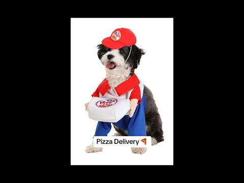 Exclusive Pet Costumes