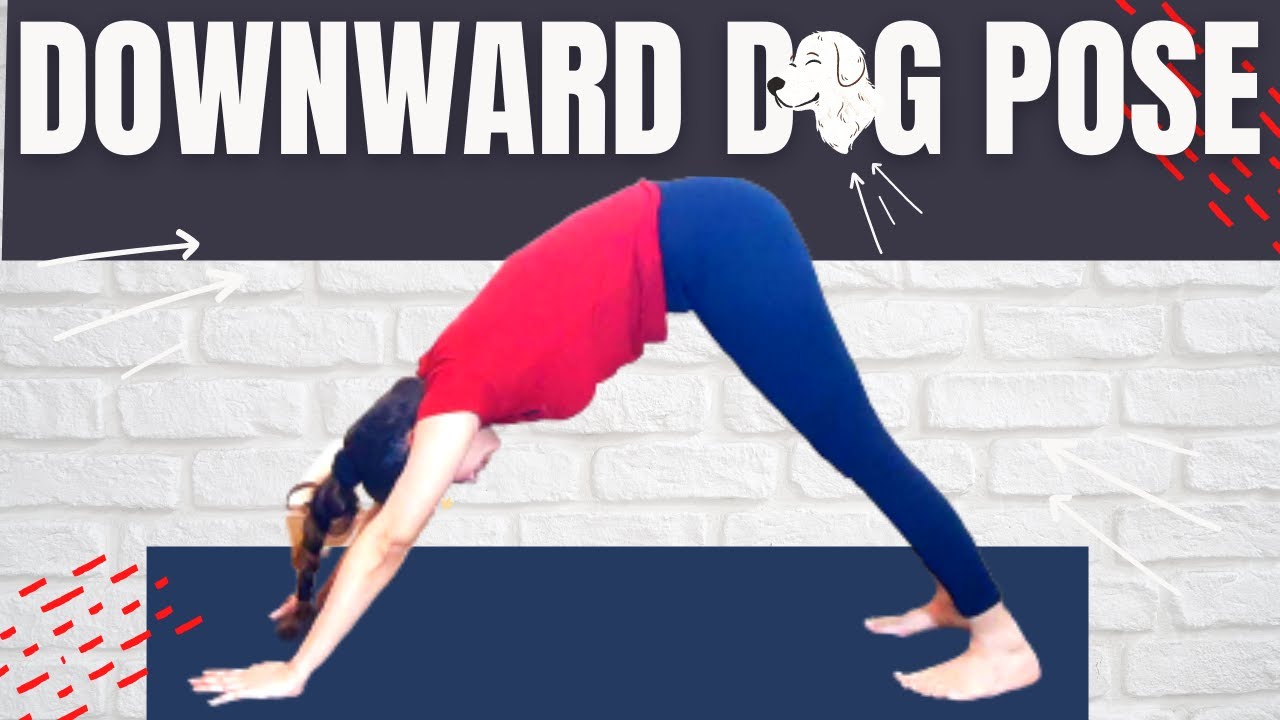 Downward Dog - Downward Facing Dog Yoga Pose