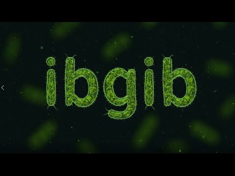 Dynamic AI Theming Beyond Light/Dark, IbGib Projects - ibgib.com update